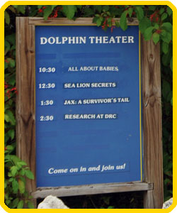 Plan Your Day - Dolphin Research Center
