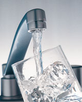 Kids Dolphin Facts - Dolphin Research Center